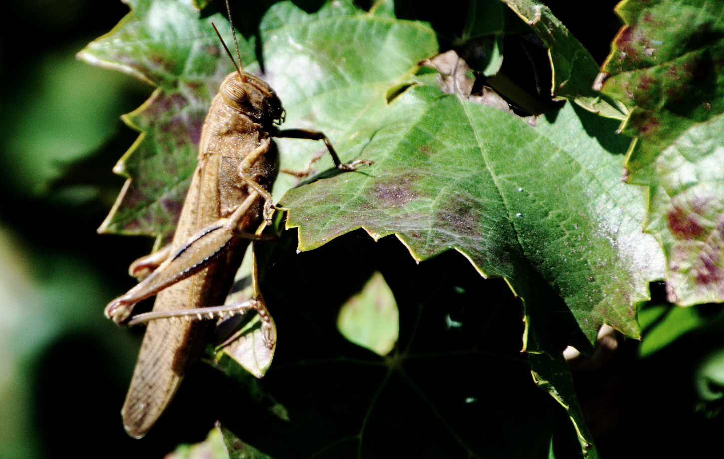 L'ambiente - Curto Vini